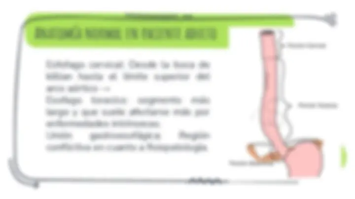 Aparato digestivo/Esofago | Diapositivas de Imagenología | Docsity