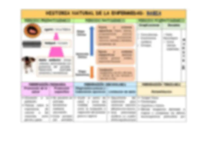 HISTORIA NATURAL DE LA ENFERMEDAD RABIA | Esquemas y mapas conceptuales de Salud Pública | Docsity