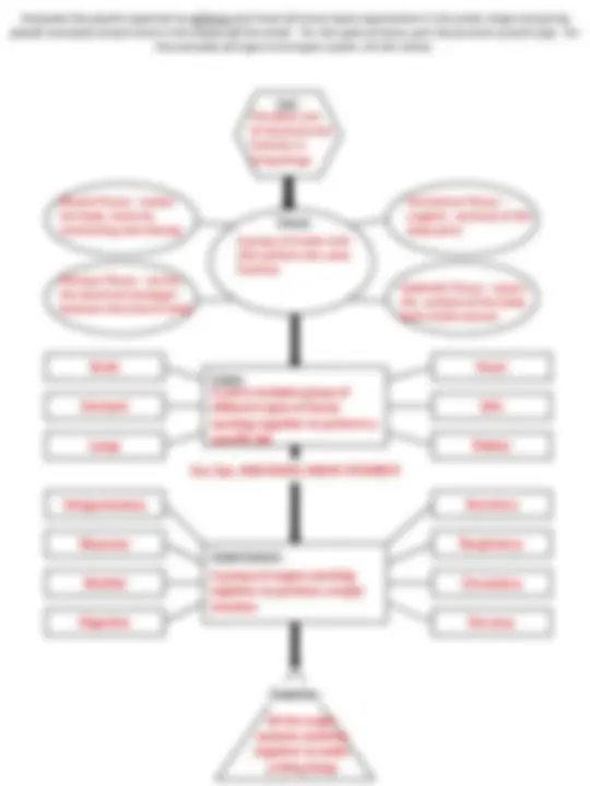 Human Body Organization and Homeostasis Worksheet Key | Exercises ...