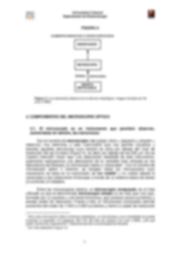 Fundamentos y manejo del microscopio óptico común | Guías, Proyectos ...