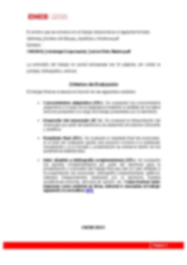 Trabajo Final de Contabilidad - Escuela de Negocios Europea de Barcelona - Fabián Esteban Charry ...