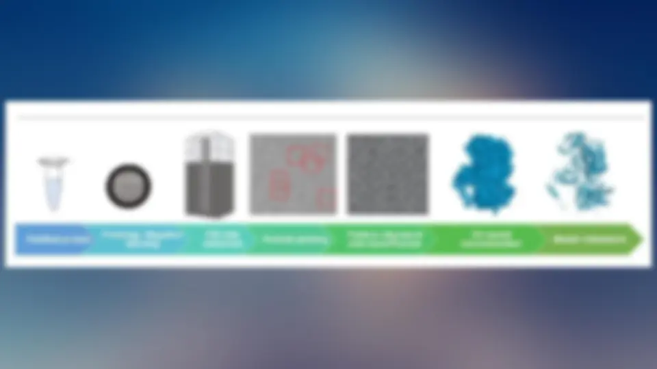 Cryo-EM Single Particle Analysis: A Powerful Tool for Structural Biology | Slides Biology | Docsity