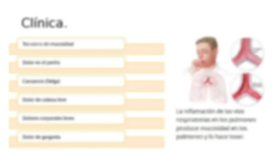 Bronquitis Aguda: Significado, Causas, Sintomas, Diagnóstico y Tratamiento | Diapositivas de ...