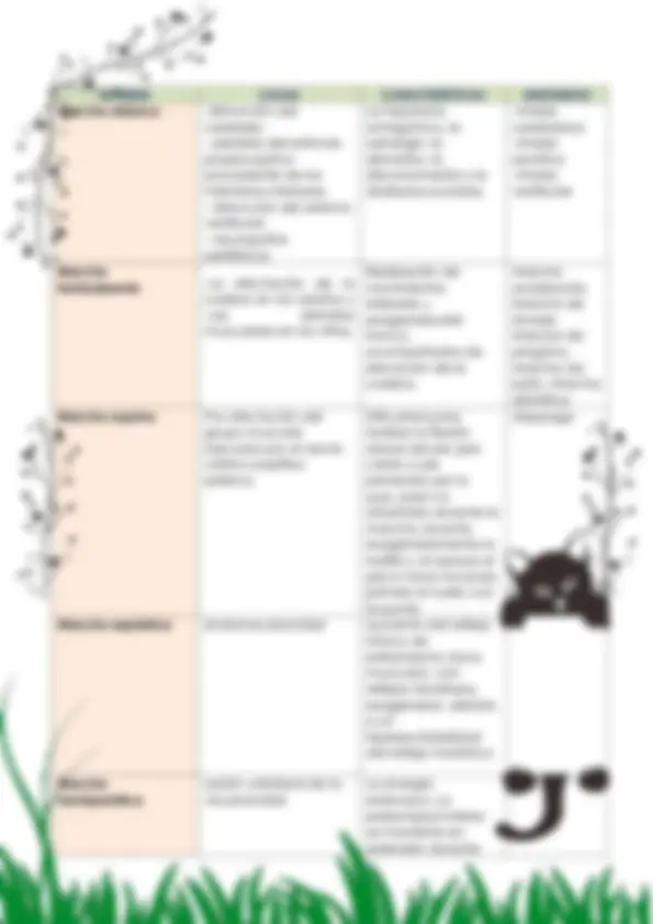 Ciclo de Marcha Humana: Fases de Apoyo y Oscilación | Apuntes de ...