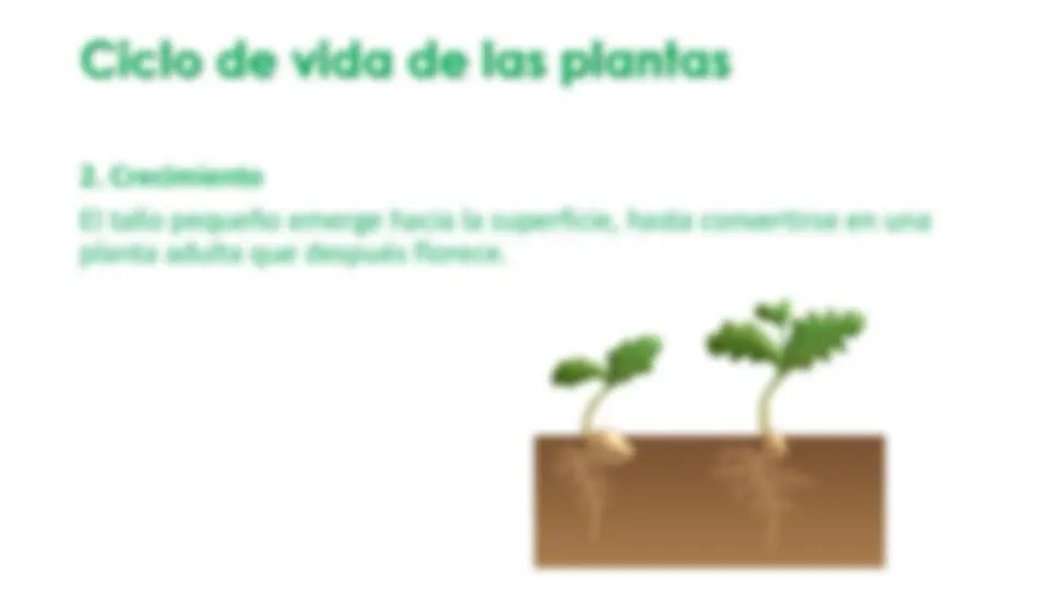 Ciclo de vida - Como todos los seres vivos | Diapositivas de Biología ...