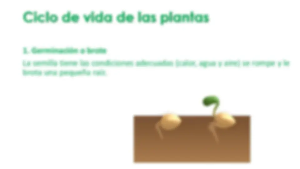 Ciclo de vida - Como todos los seres vivos | Diapositivas de Biología ...