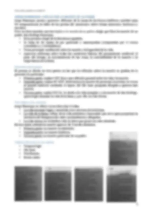 Lírica culta y popular del siglo XV | Apuntes de Lengua y Literatura ...