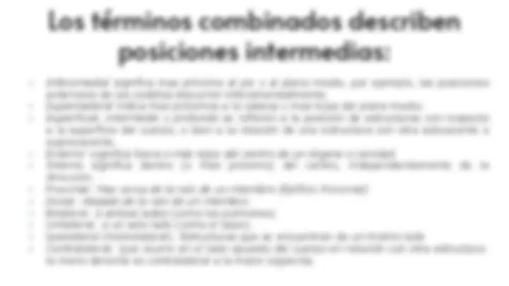 posiciones anatómicas en fisioterapia | Esquemas y mapas conceptuales de Fisioterapia | Docsity