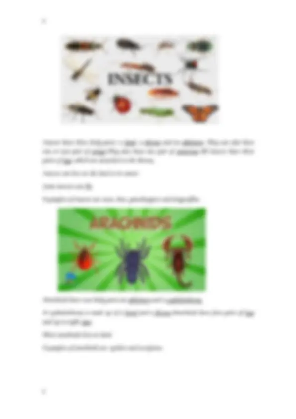 Lesson 3: Invertebrates - Characteristics, Classification and Examples ...