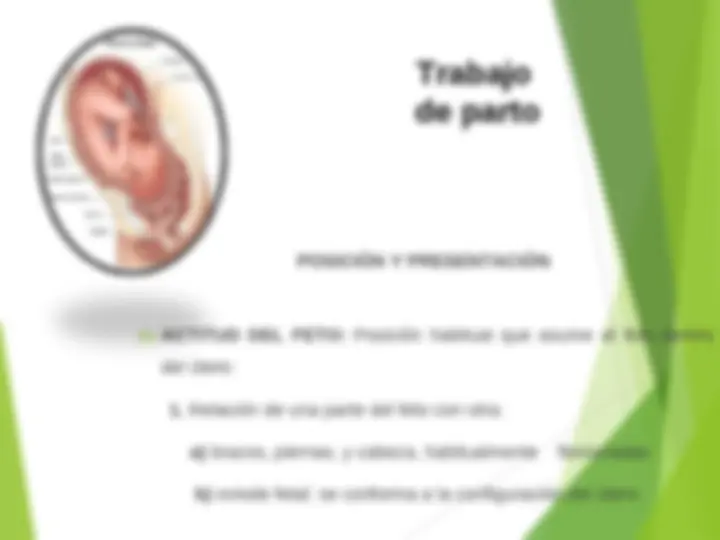 Etapas del Trabajo de Parto | Apuntes de Enfermería | Docsity