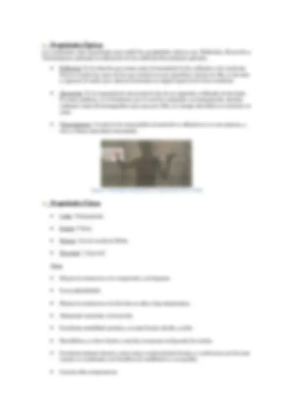 Hormigón Translúcido: Propiedades y Aplicaciones | Exámenes de Ciencia ...