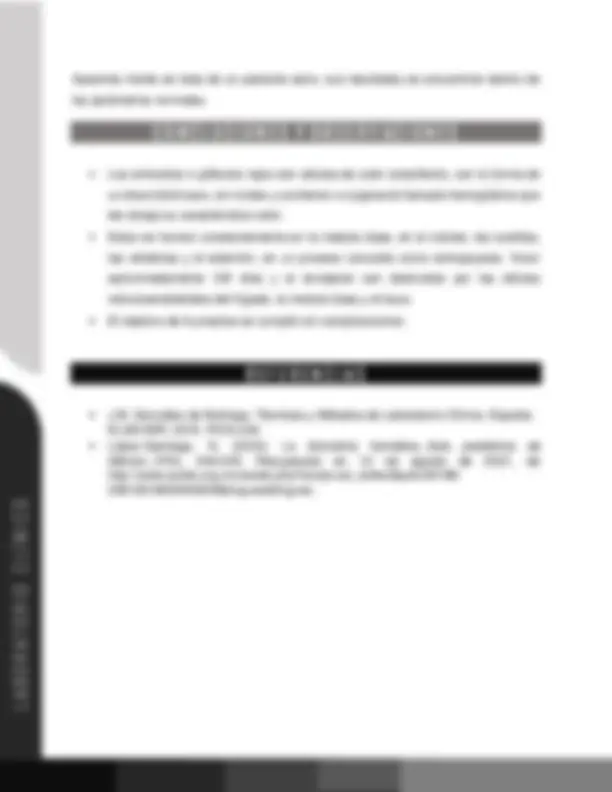 Práctica de Biometría Hemática: Recuento Diferencial Manual | Apuntes ...