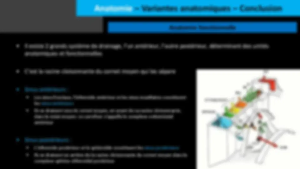 Variantes anatomiques des sinus de la face | Schémas Anatomie | Docsity