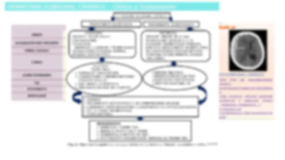 fisiopatología de hematoma subdural | Esquemas y mapas conceptuales de Cirugía General | Docsity