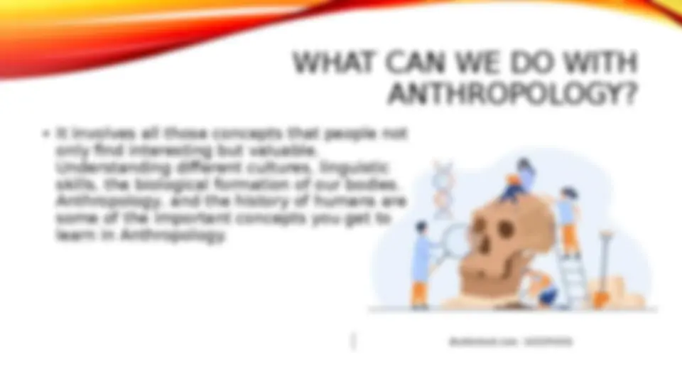 An Introduction to Anthropology: Origins, Concepts, and Cultural ...