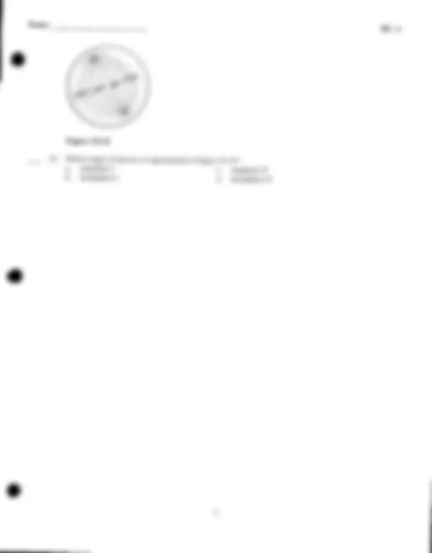 Biology Chapter 10 Test: Sexual Reproduction and Genetics | Schemes and ...