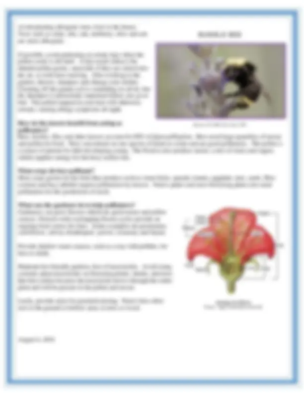 What is Pollen? | Study notes Plant Biotechnology | Docsity