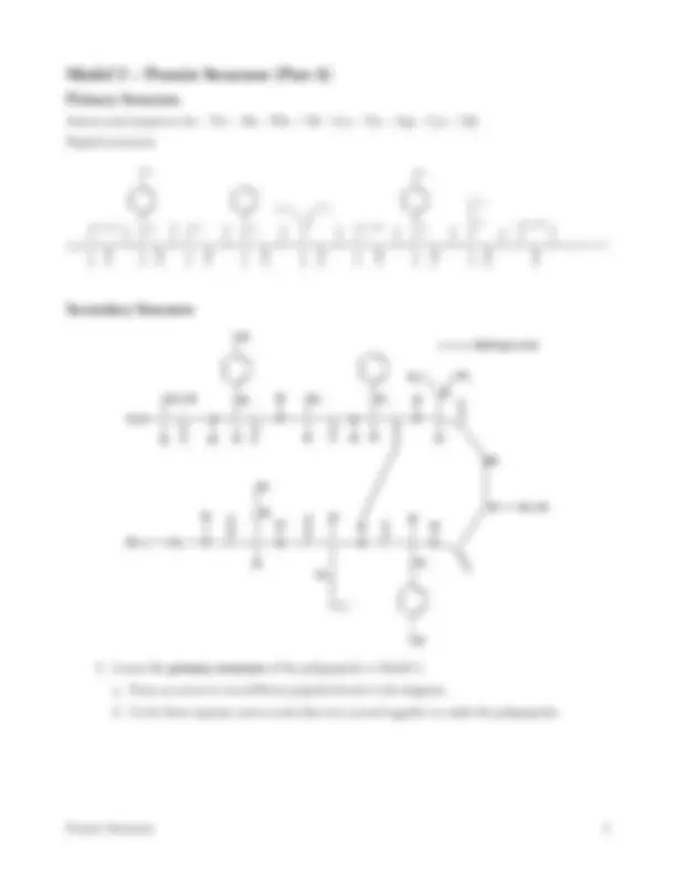 Protein Structure POGIL | Schemes and Mind Maps Biology | Docsity
