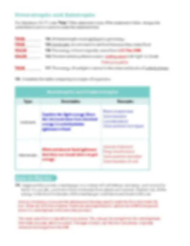 Energy and Life: ATP, Heterotrophs, and Autotrophs | Exercises ...