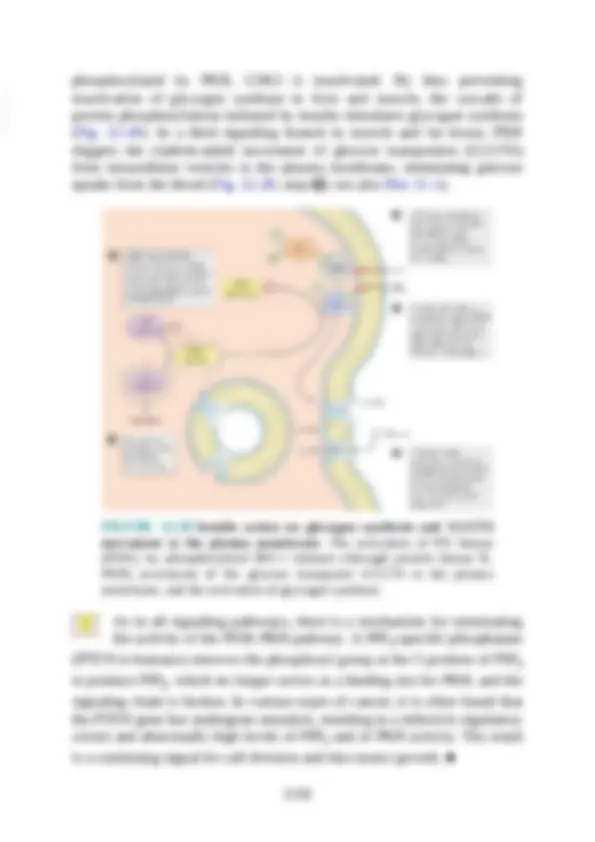 Lehninger Principles of Biochemistry, 7th Edition | Lecture notes ...