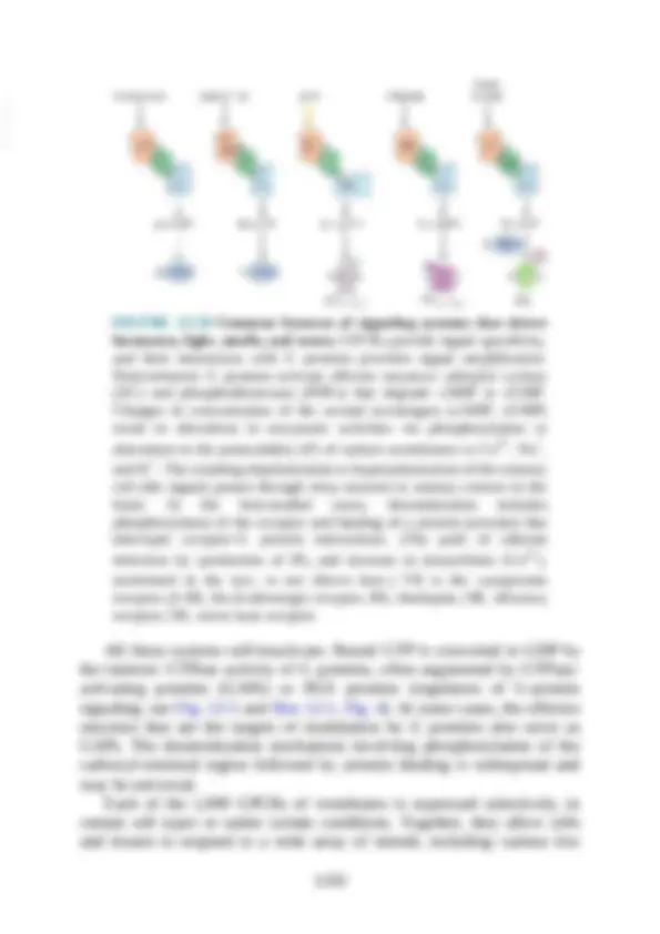 Lehninger Principles of Biochemistry, 7th Edition | Lecture notes ...