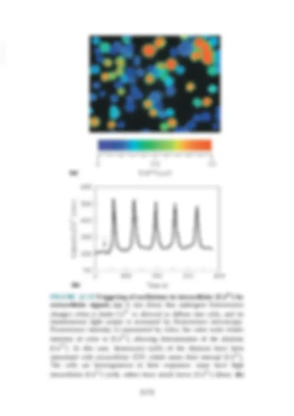 Lehninger Principles of Biochemistry, 7th Edition | Lecture notes ...