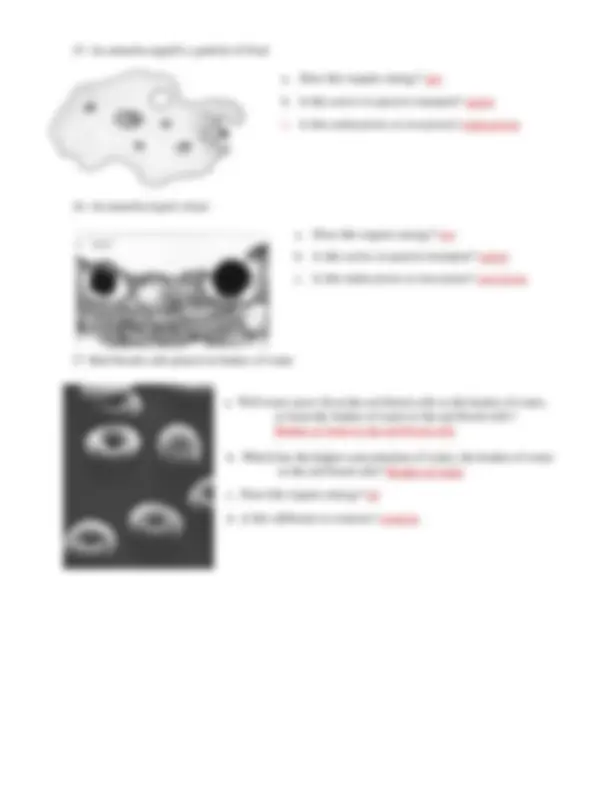 Biological Uptake: Cell Transport Mechanisms and Processes | Exercises ...