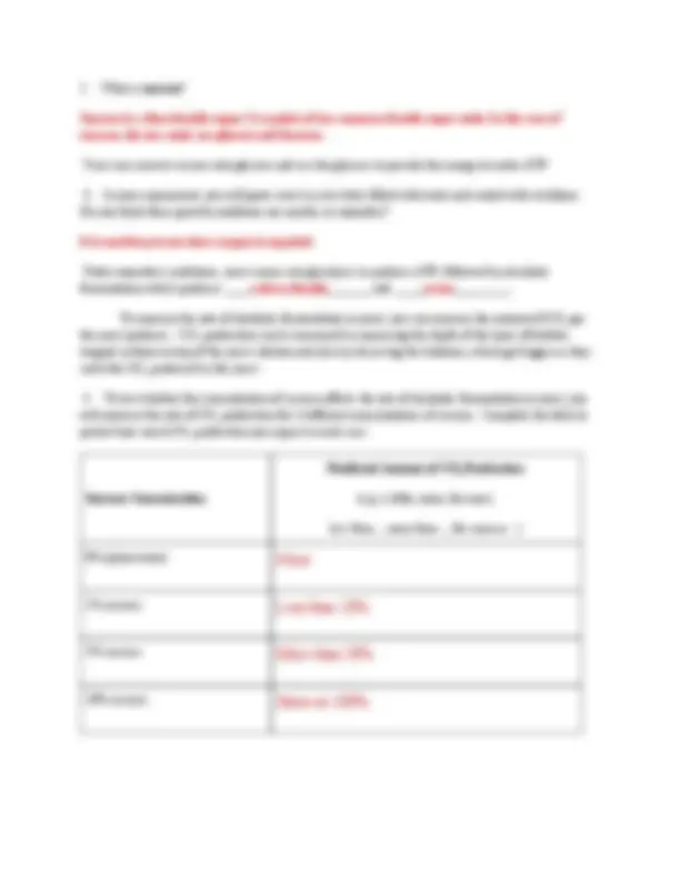 EXPERIMENT 8 Alcoholic Fermentation | Lab Reports Chemistry | Docsity