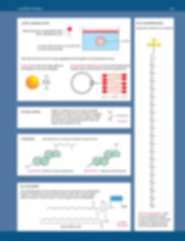 114 PANEL 2–5: Fatty Acids and Other Lipids | Lecture notes ...