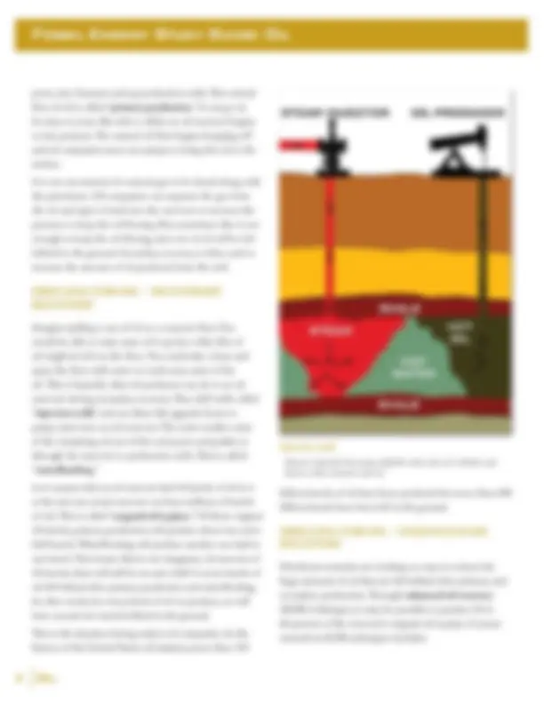 Oil Study Guide: Understanding the Extraction, Uses, and History of ...