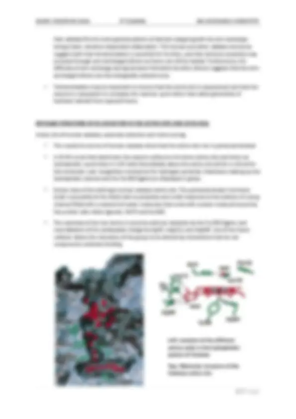 Human Catalase Enzyme | Study notes Biochemistry | Docsity
