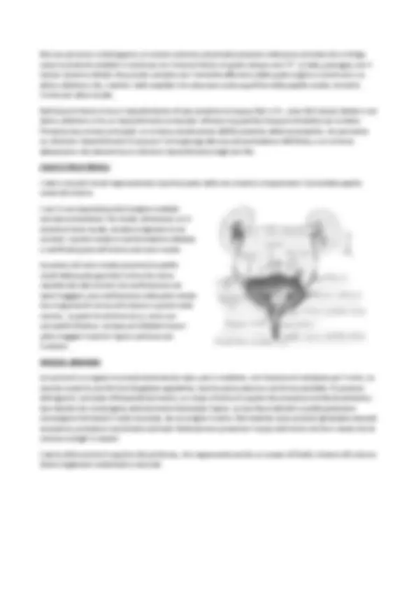 Il sistema urinario | Appunti di Anatomia | Docsity