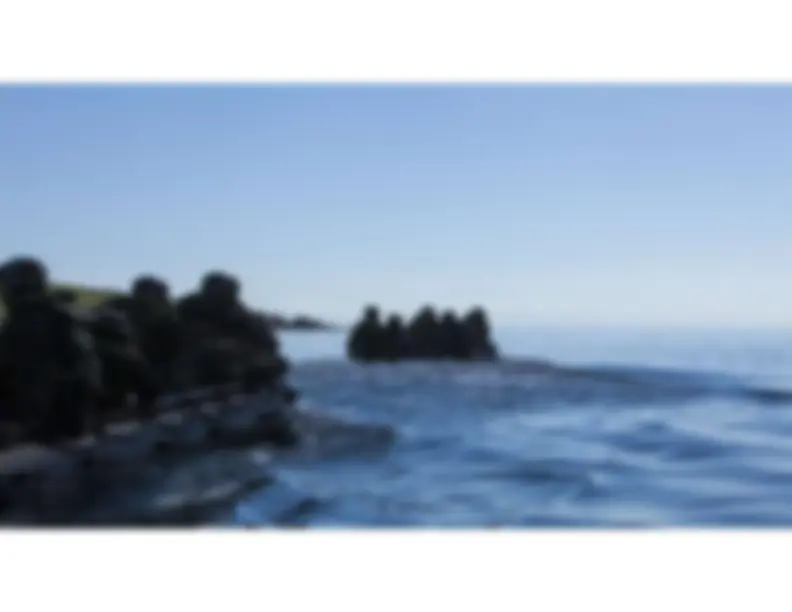 USMC Leadership Traits and Principles: A Guide for Marines | Study ...