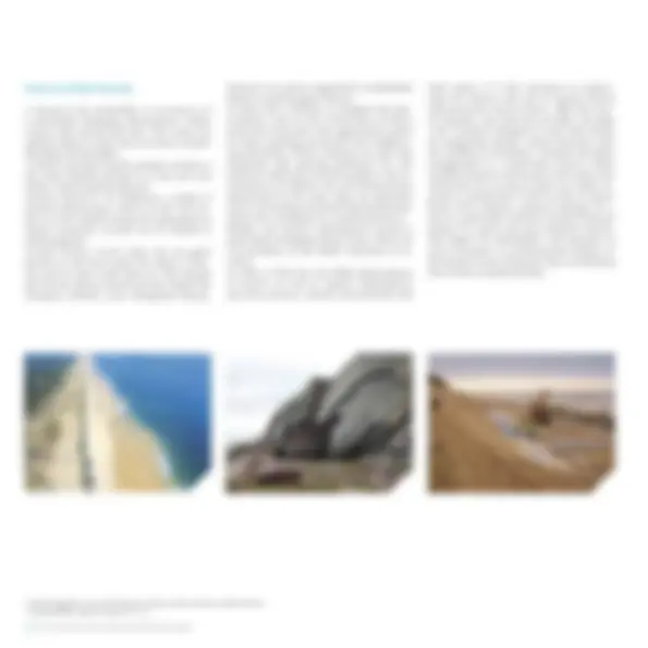 Soft Coastal Protection Solutions: A Comprehensive Overview | Lecture ...