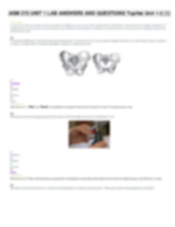 ASM 275 UNIT 1 LAB ANSWERS AND QUESTIONS TopHat Unit 1-2 (1) REVIEWED &VERIFIED BY EXPERT ...