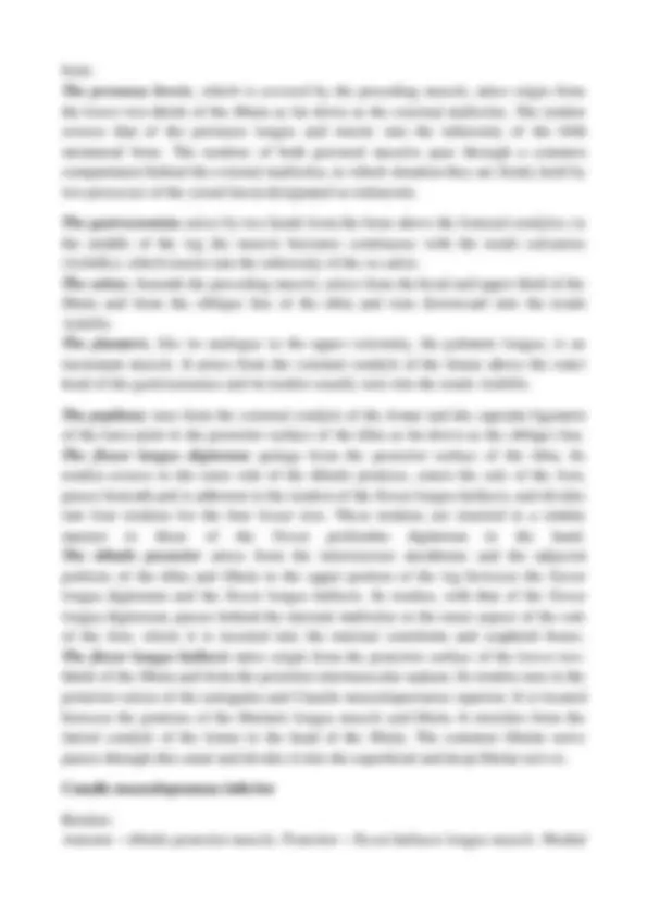 Clinical anatomy of the lower extremity | Study Guides, Projects ...