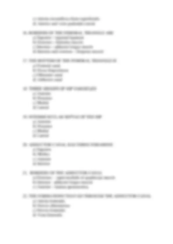 Clinical anatomy of the lower extremity | Study Guides, Projects ...