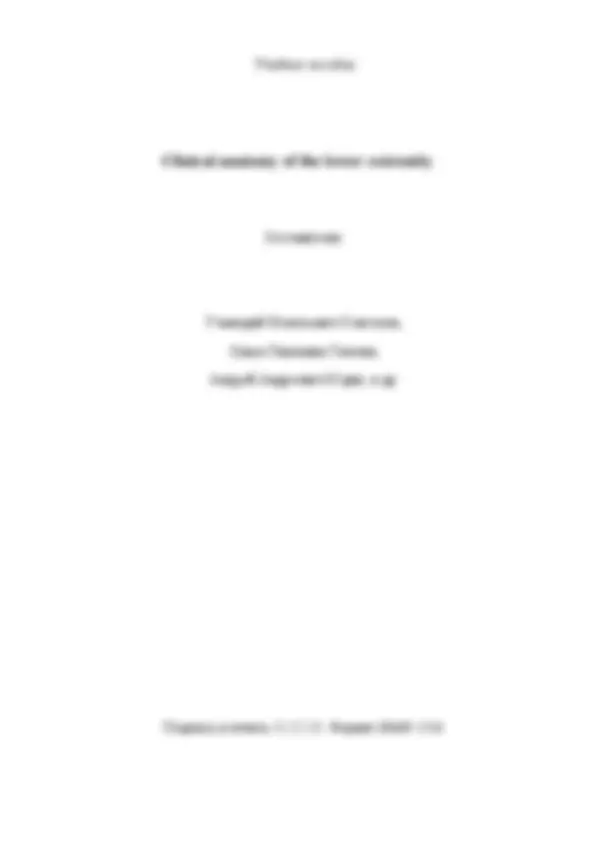 Clinical anatomy of the lower extremity | Study Guides, Projects ...