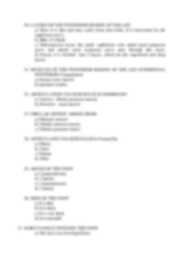 Clinical anatomy of the lower extremity | Study Guides, Projects ...