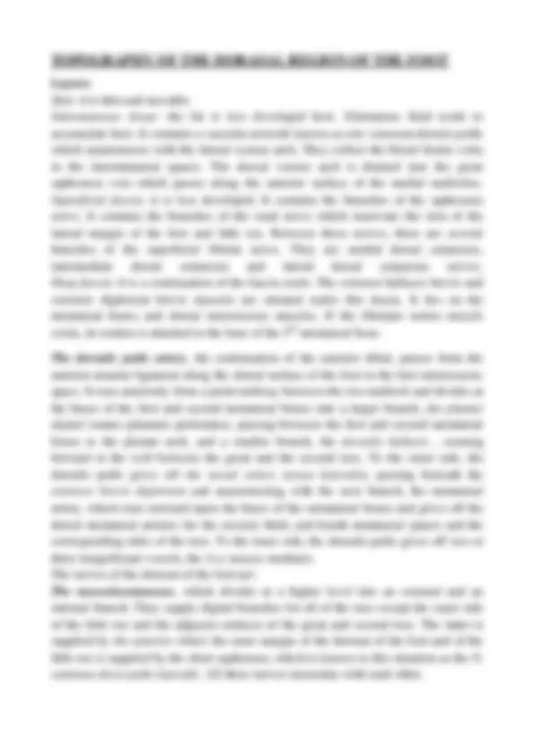 Clinical anatomy of the lower extremity | Study Guides, Projects ...