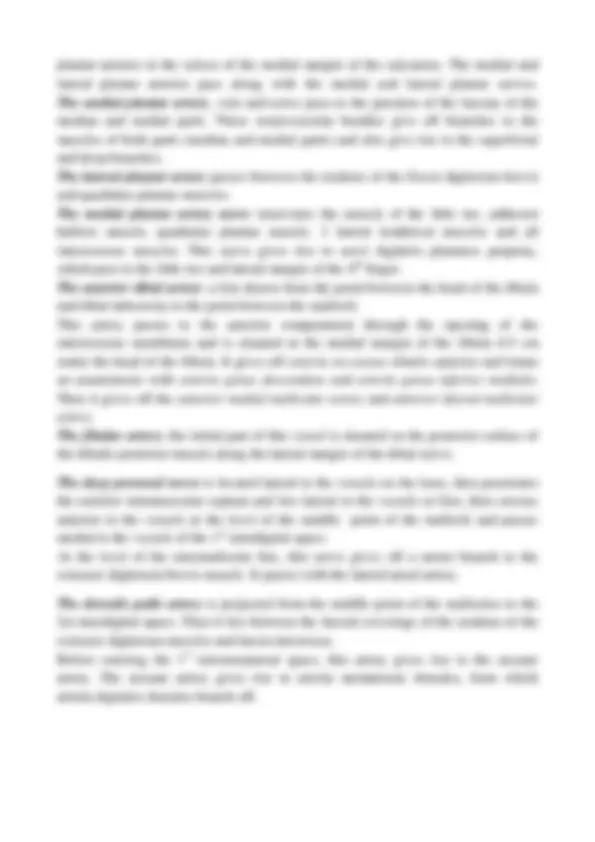 Clinical anatomy of the lower extremity | Study Guides, Projects ...