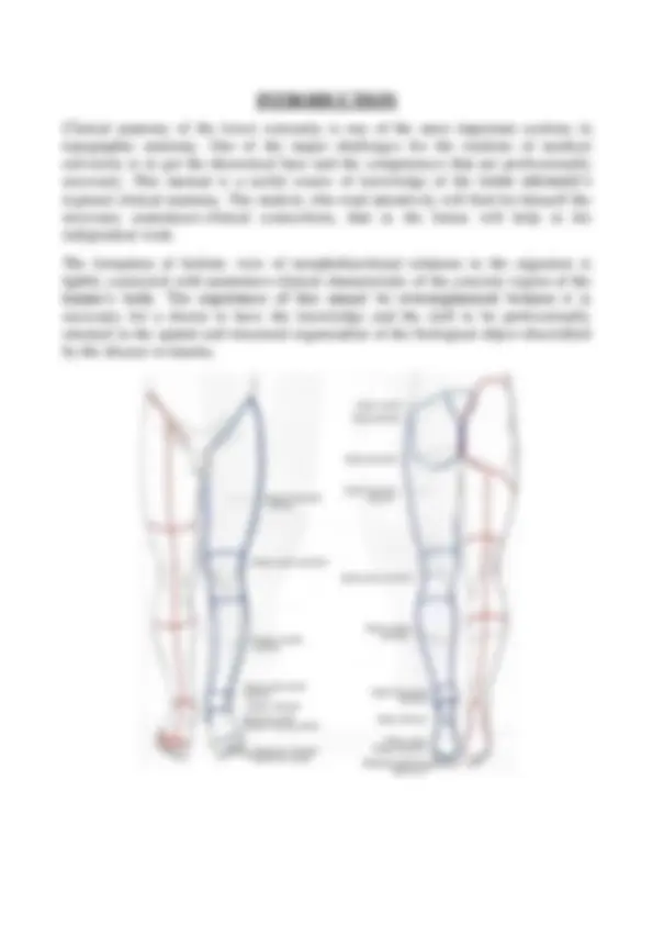Clinical anatomy of the lower extremity | Study Guides, Projects ...