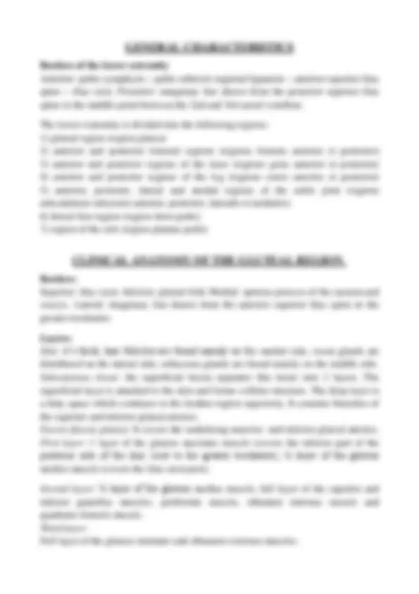 Clinical anatomy of the lower extremity | Study Guides, Projects ...