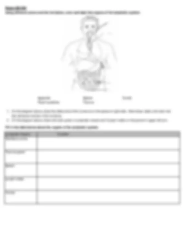 Lymphatic System WS.xlsx | Schemes and Mind Maps Anatomy | Docsity