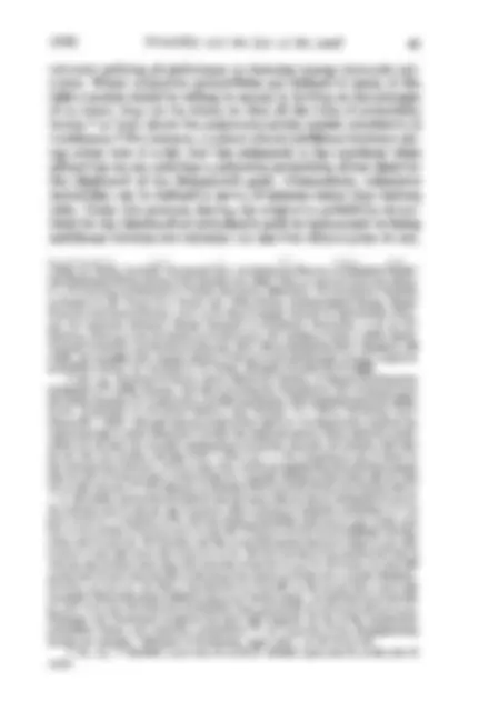 Misunderstanding of Probability in Legal Factfinding: Debating its ...