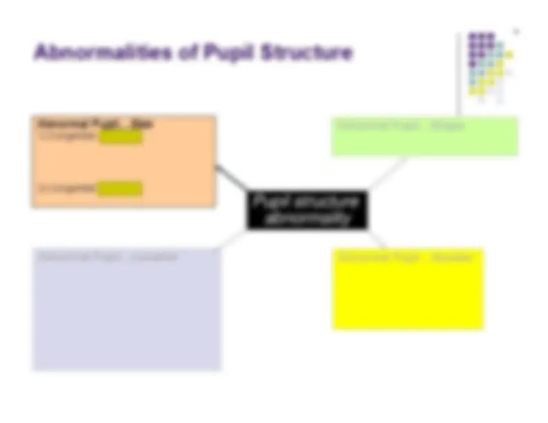 Abnormalities of the Human Pupil: Shape, Location, Number, and Size ...