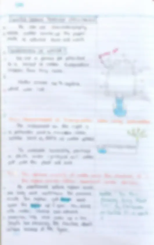 Plant Anatomy and Transpiration | Study notes Biology | Docsity