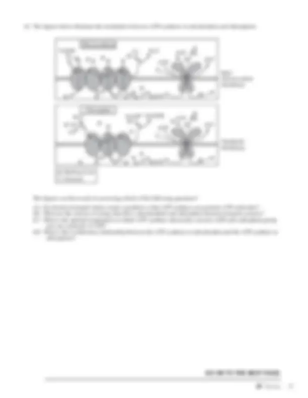 AP biology full length practice exam | Exams Biology | Docsity