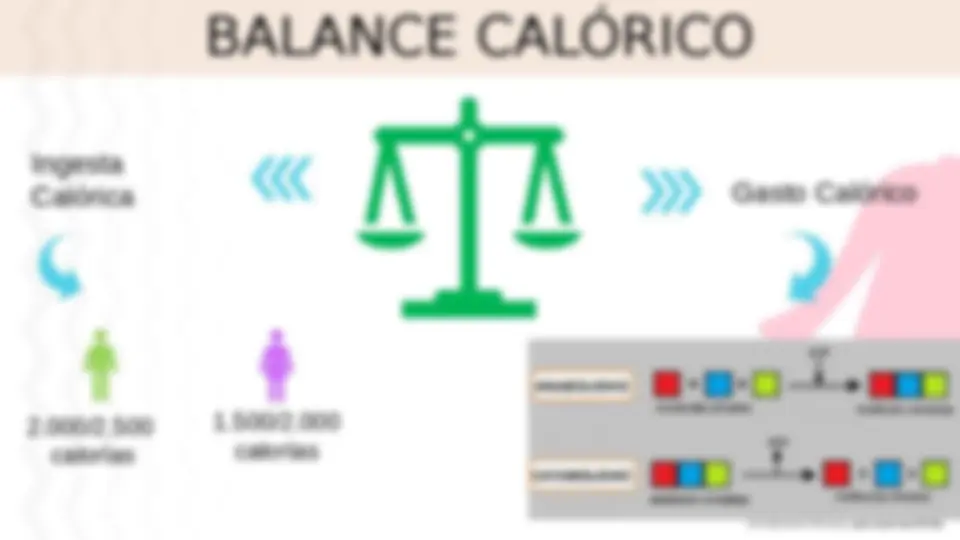 BALANCE NITROGENADO Y CALÓRICO | Diapositivas de Bioquímica | Docsity