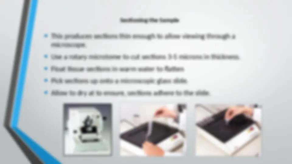 Histological Techniques: Preserving Microscopic Anatomy | Cheat Sheet ...
